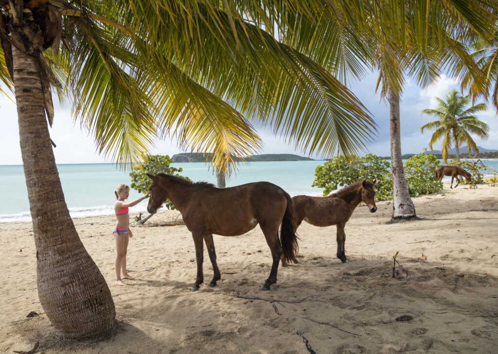 Guide to a Spring Break in Puerto Rico with Your Family | Platea