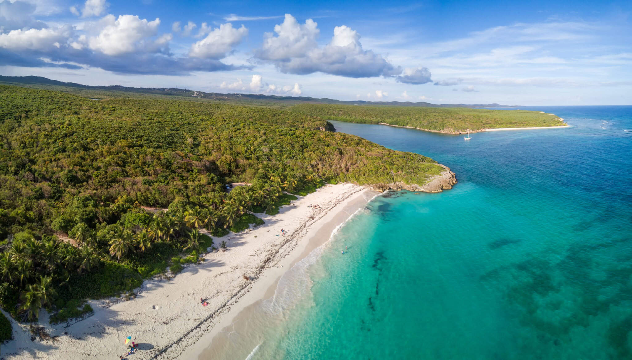 Top 8 Things to do in Vieques | Platea