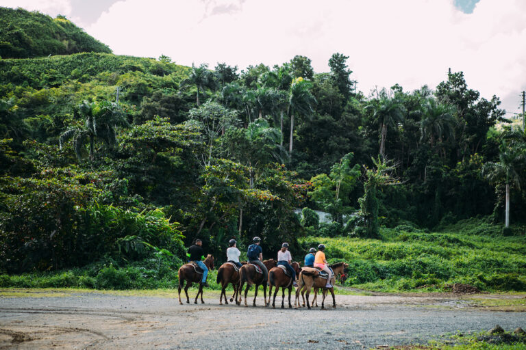 Horseback Riding in Puerto Rico | Platea