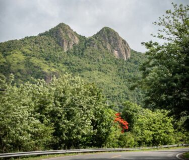 De road trip por las montañas de Cayey - Platea