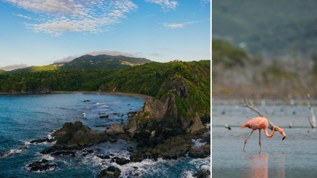 8 reservas naturales para tu próximo roadtrip - PlateaPR