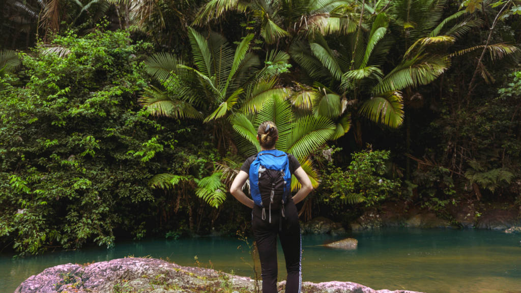 5 rutas de hiking en Puerto Rico para todos los niveles - PlateaPR