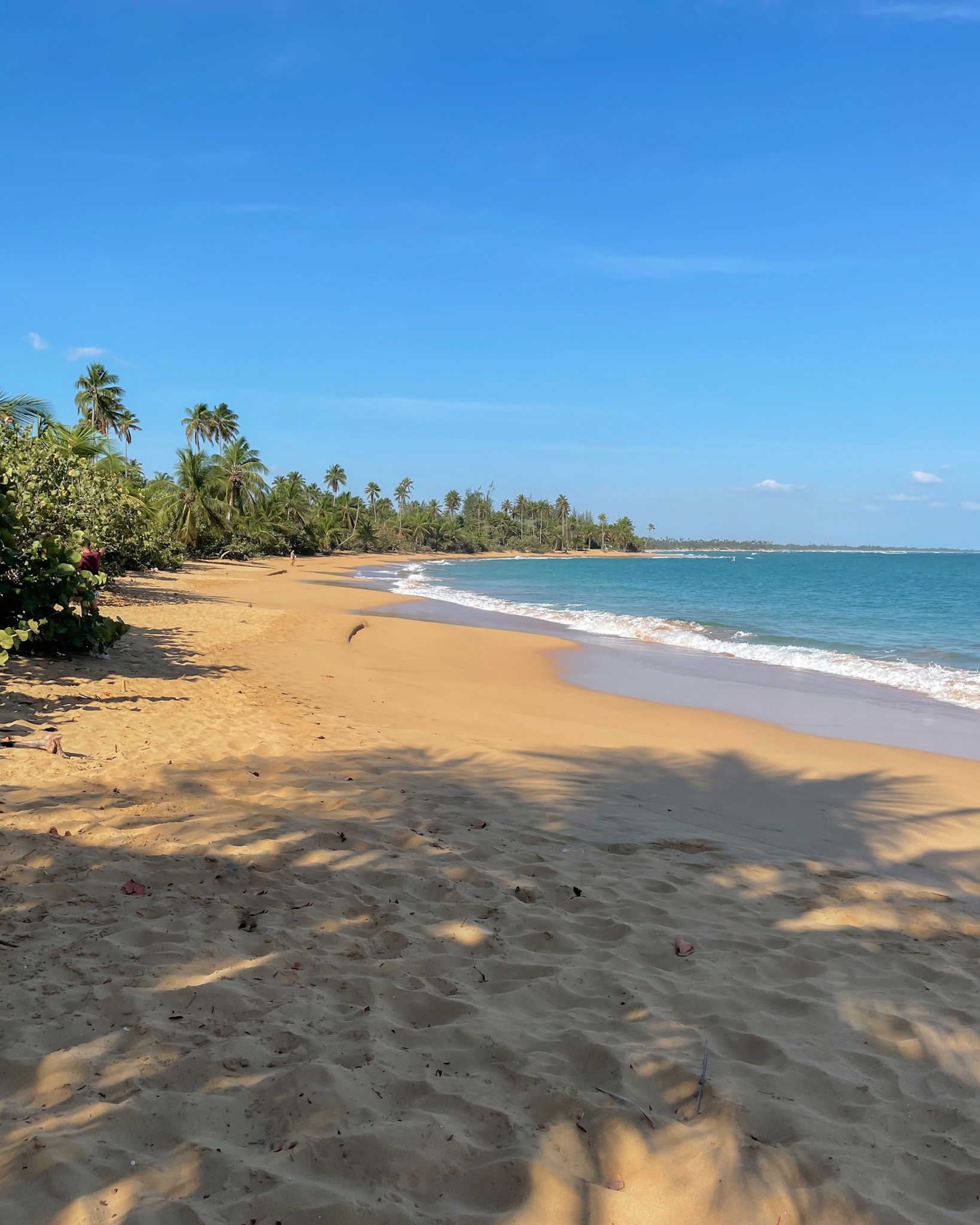 De roadtrip por Loíza, "la capital de la tradición" - PlateaPR
