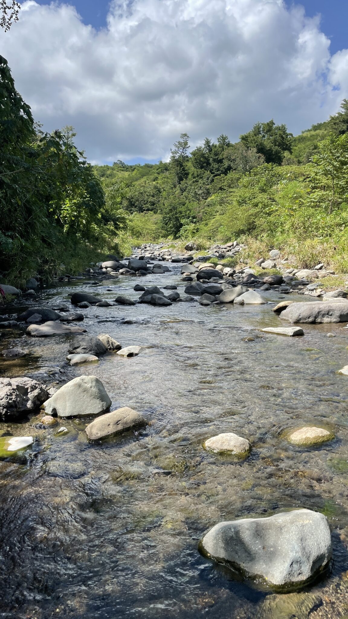 Restaurantes y barras que debes visitar en Coamo - PlateaPR