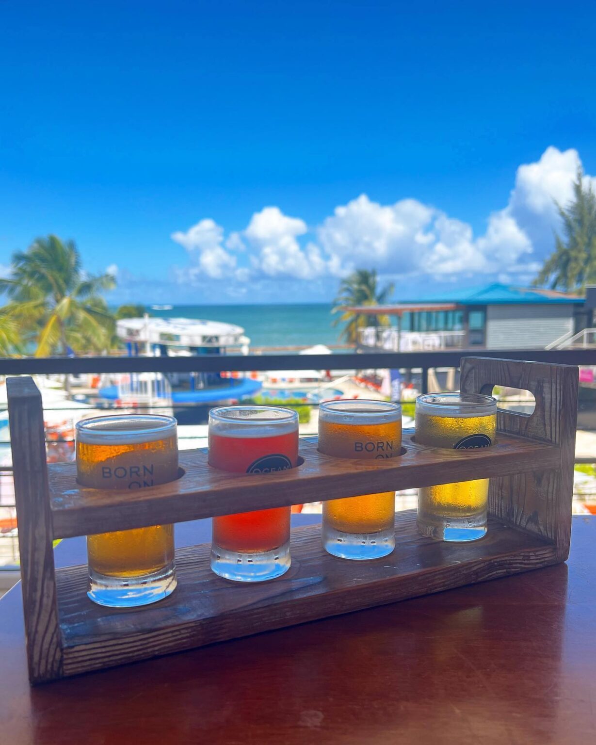 Cerezas de café: el ingrediente secreto de la nueva cerveza boricua de ...