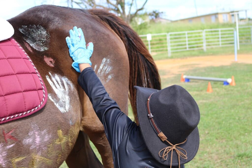 Spotlight: Horses of Hope, terapia a través de caballos en Isabela - PlateaPR