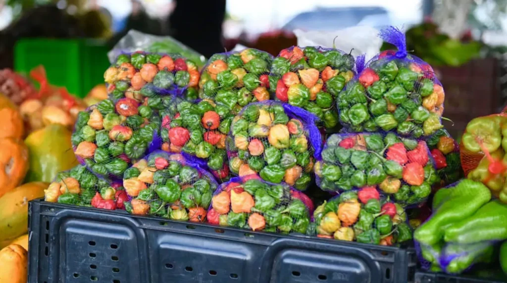 Mercados familiares en diciembre 2025 - PlateaPR